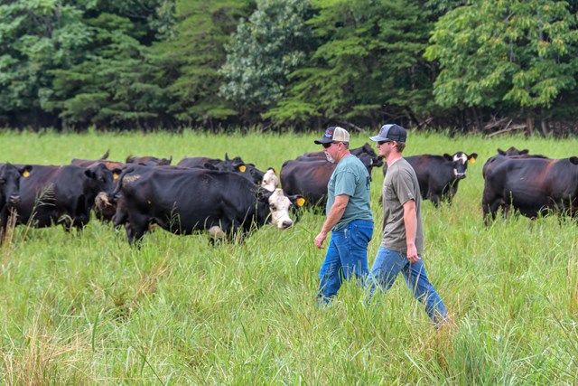 Farm Bill